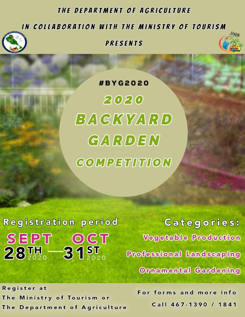 Backyard Garden Competition | Buckie Got It